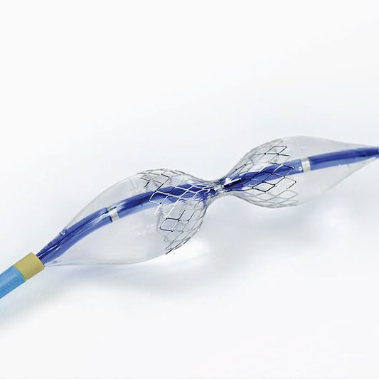 TRUE® Flow Valvuloplasty Perfusion Catheter – Endovascular